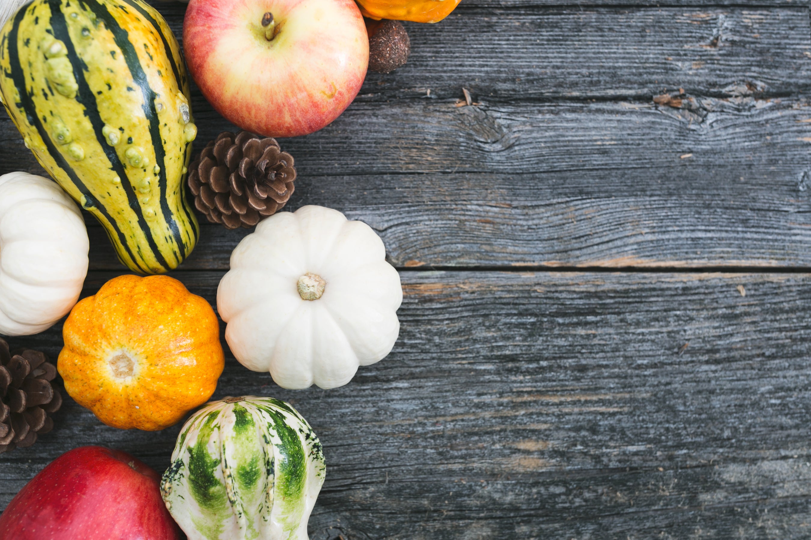 Conservation des aliments VacHome Life - IMCO® — IMCO Marketing